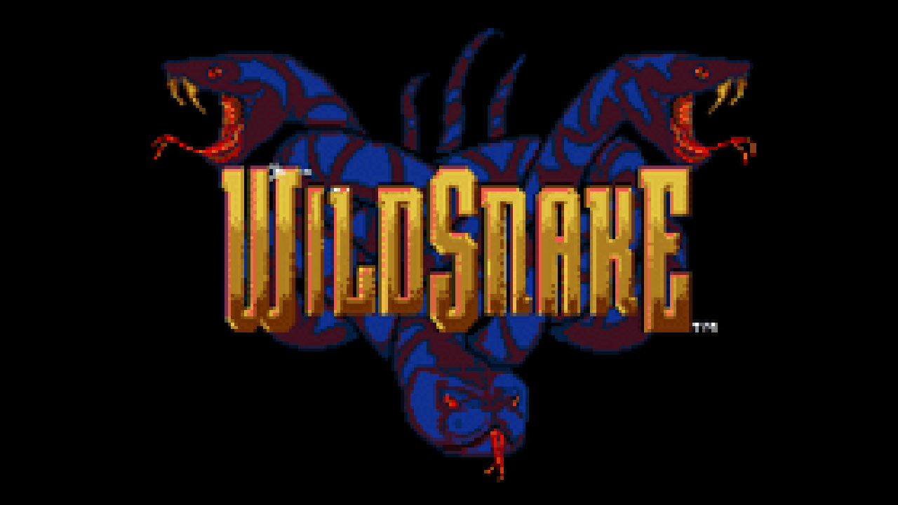 Ep. 581 – WildSnake - TADPOG: Tyler and Dave Play Old Games